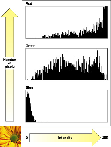 Quartz Composer Custom Patch Programming Guide: Writing Image Processing Patches